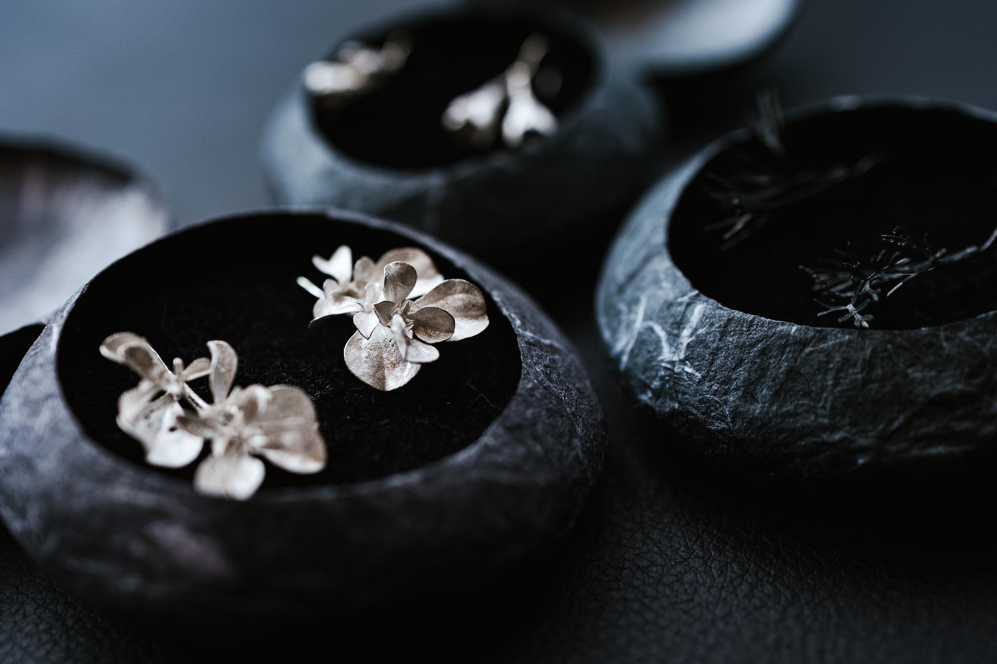 Home Rockhampton Museum of Art