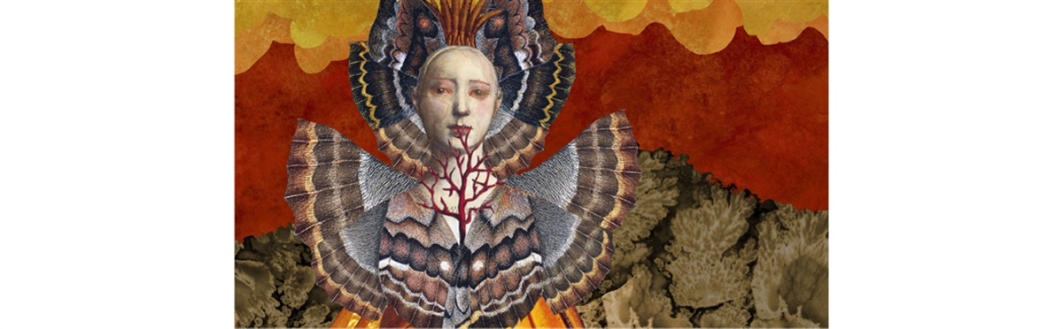 Deborah Kelly | Collage Masterclass Rockhampton Museum of Art